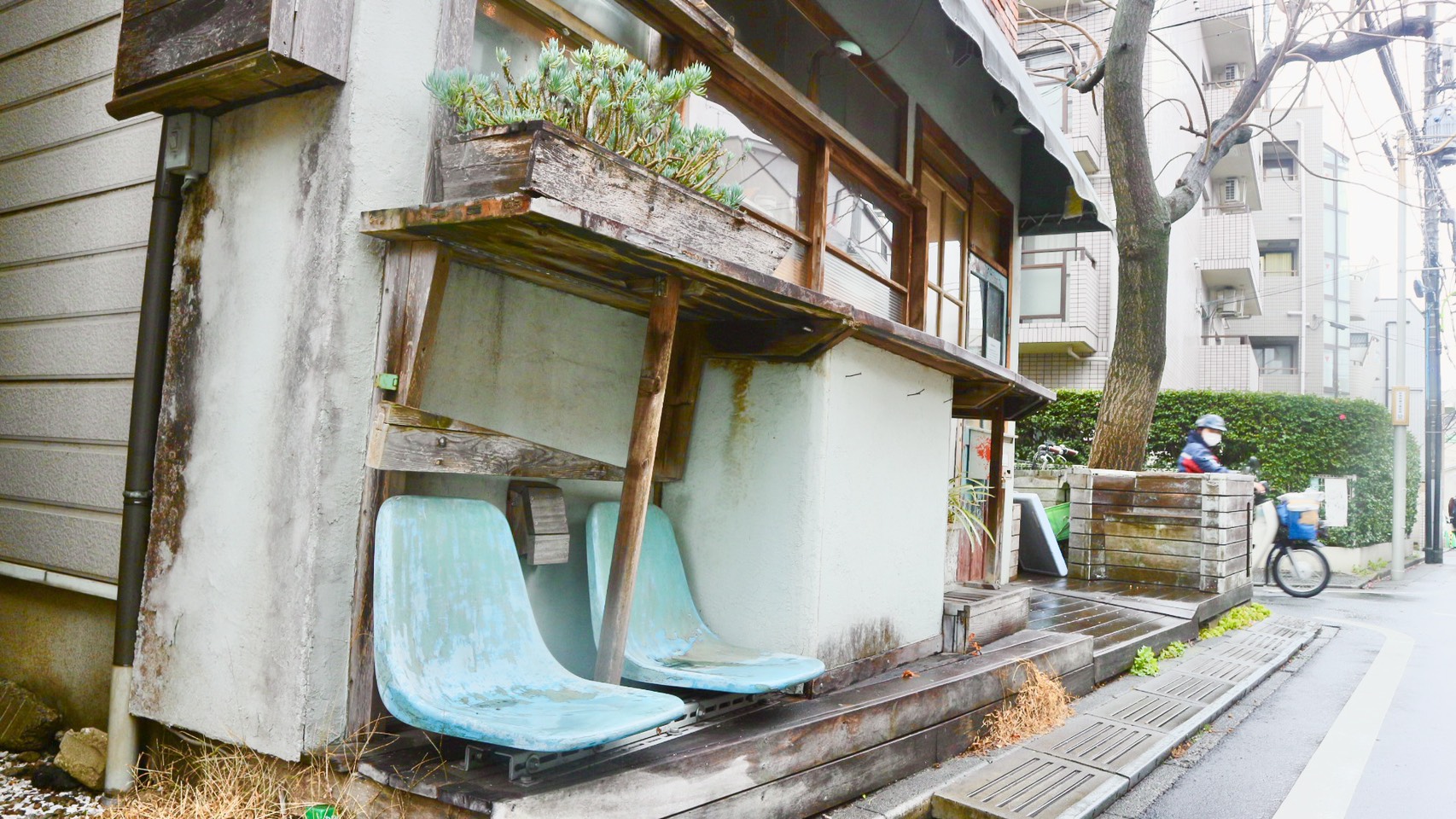 【経堂】anamo cafe（アナモカフェ）で映画の中の雰囲気を♪アボカドとくるみのチーズケーキやかき氷がおすすめ！ | JIMOHACK（ジモハック） 世田谷区版