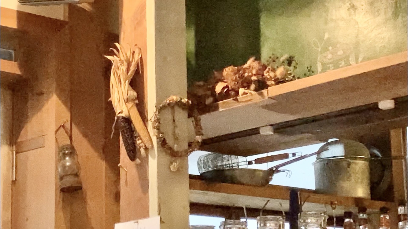 【経堂】anamo cafe（アナモカフェ）で映画の中の雰囲気を♪アボカドとくるみのチーズケーキやかき氷がおすすめ！ | JIMOHACK（ジモハック） 世田谷区版