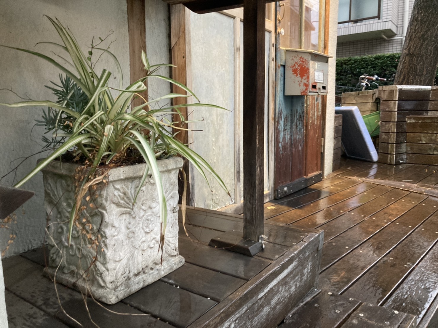 【経堂】anamo cafe（アナモカフェ）で映画の中の雰囲気を♪アボカドとくるみのチーズケーキやかき氷がおすすめ！ | JIMOHACK（ジモハック） 世田谷区版