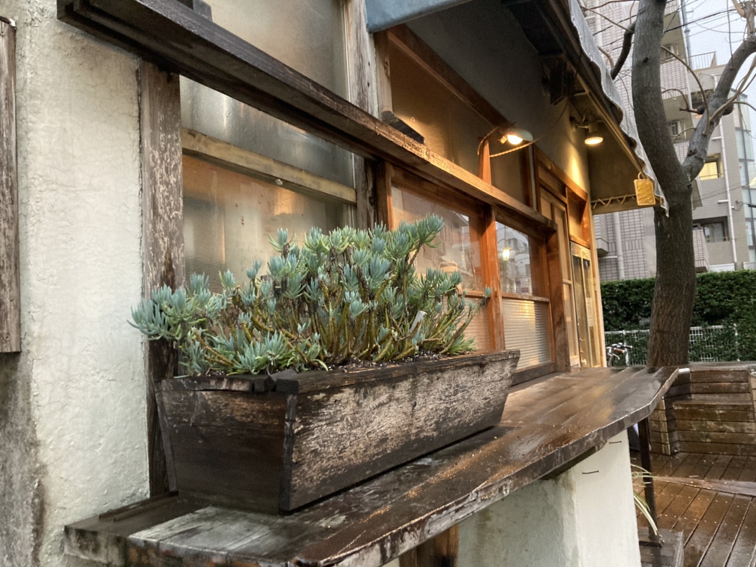 【経堂】anamo cafe（アナモカフェ）で映画の中の雰囲気を♪アボカドとくるみのチーズケーキやかき氷がおすすめ！ | JIMOHACK（ジモハック） 世田谷区版